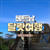 베트남 달랏 여행지 추천 기괴하고 짜릿한 건축물을 볼 수 있는 크레이지하우스 항응아빌라 Crazy House 네이버 블로그